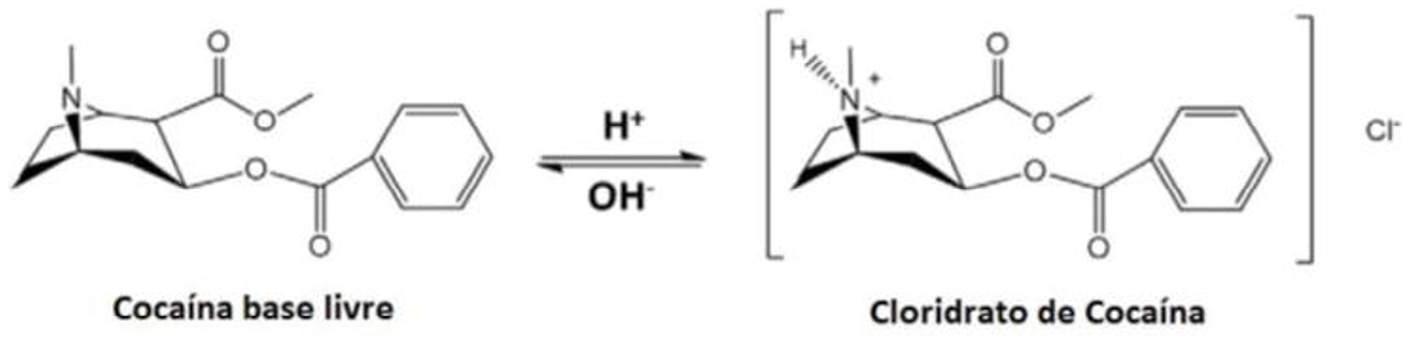 volumen 35 número 2